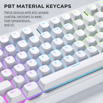 Backlit Keycaps – CuriosityCaps